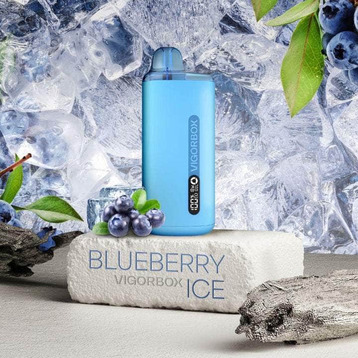 Vigorbox Aladdin 10000+ 5% Rechargeable Disposable Clearance — Quick Clouds